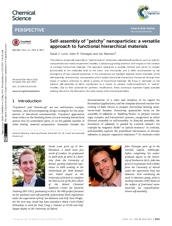 (PDF) Self-assembly of “patchy” nanoparticles: a versatile approach to ...