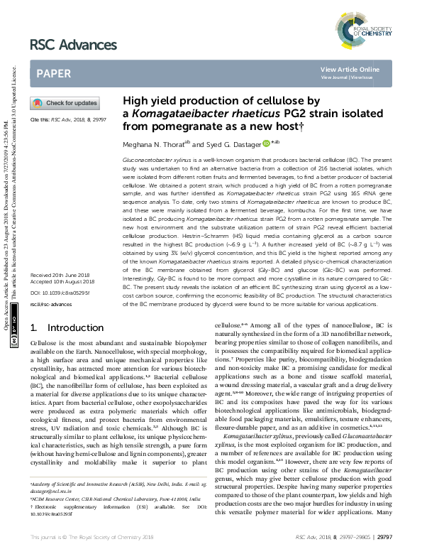 (PDF) High yield production of cellulose by a Komagataeibacter ...