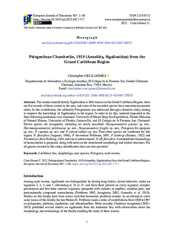 (PDF) Pelogeniinae Chamberlin, 1919 (Annelida, Sigalionidae) from the ...