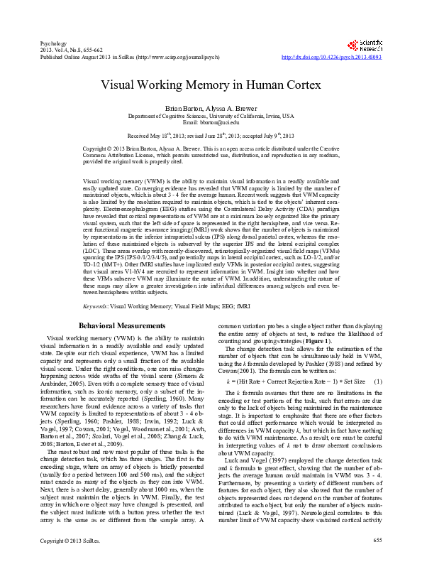 (PDF) Visual Working Memory in Human Cortex