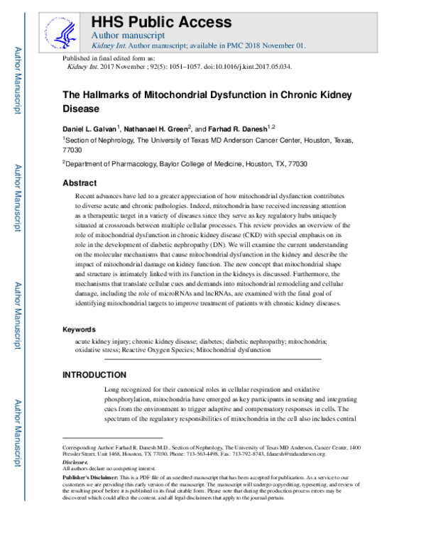 (PDF) The hallmarks of mitochondrial dysfunction in chronic kidney disease