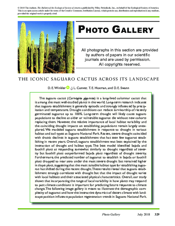 (PDF) The Iconic Saguaro Cactus Across its Landscape