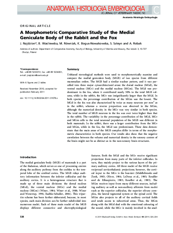 (PDF) A Morphometric Comparative Study of the Medial Geniculate Body of ...