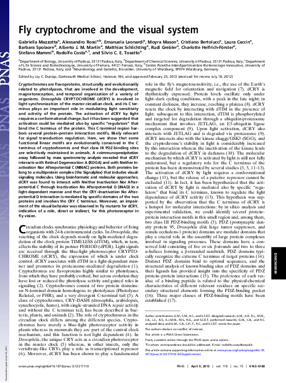 (PDF) Fly cryptochrome and the visual system