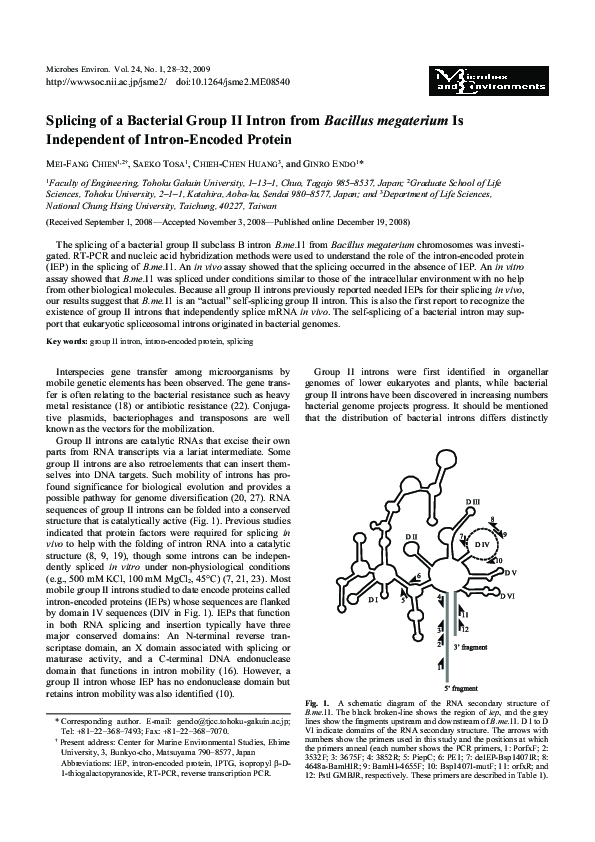 (PDF) Splicing of a Bacterial Group II Intron from Bacillus megaterium ...