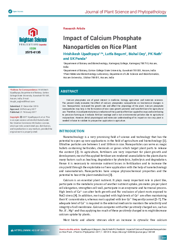 (PDF) Impact of Calcium Phosphate Nanoparticles on Rice Plant