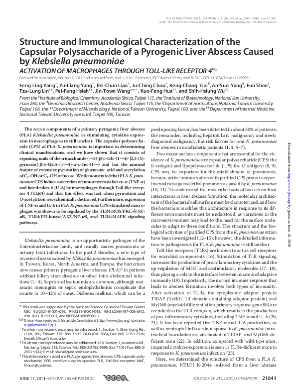(PDF) Structure and Immunological Characterization of the Capsular ...