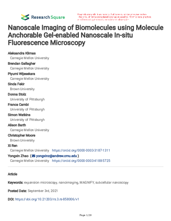 (PDF) Nanoscale Imaging of Biomolecules using Molecule Anchorable Gel ...