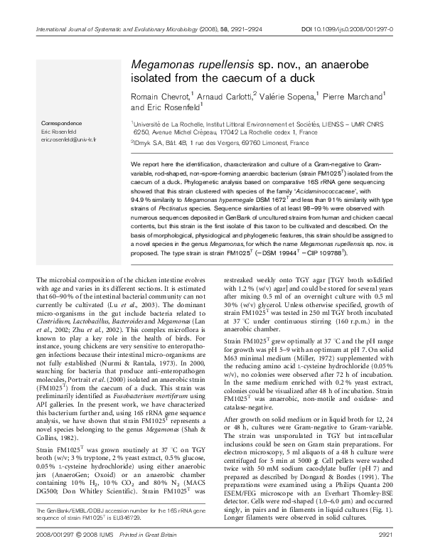 (PDF) Megamonas rupellensis sp. nov., an anaerobe isolated from the ...