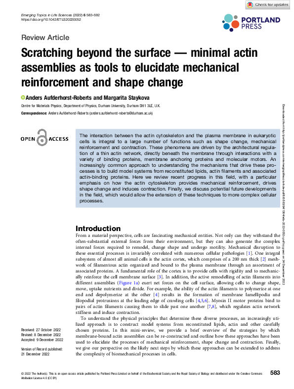 (PDF) Scratching beyond the surface — minimal actin assemblies as tools to elucidate mechanical ...