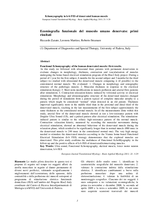 (PDF) Functional Echomyography of the human denervated muscle: first ...