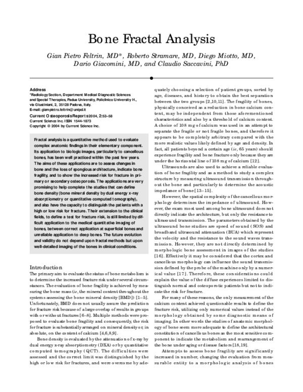 (PDF) Bone fractal analysis