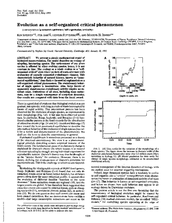 (PDF) Evolution as a self-organized critical phenomenon