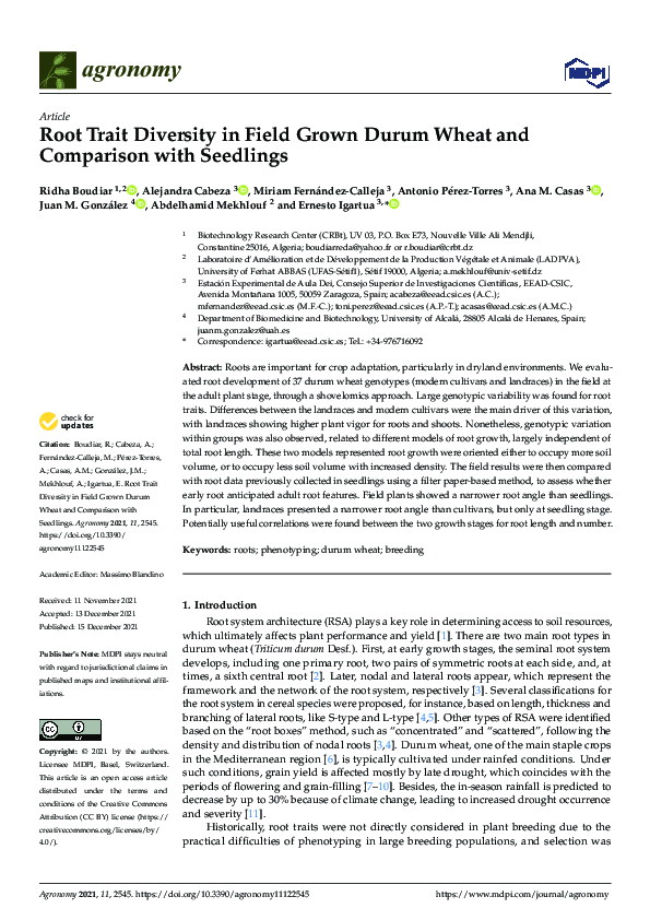 (PDF) Root Trait Diversity in Field Grown Durum Wheat and Comparison ...