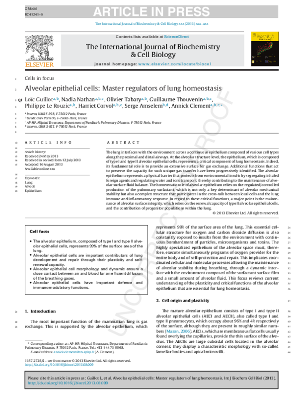 (PDF) Alveolar epithelial cells: Master regulators of lung homeostasis