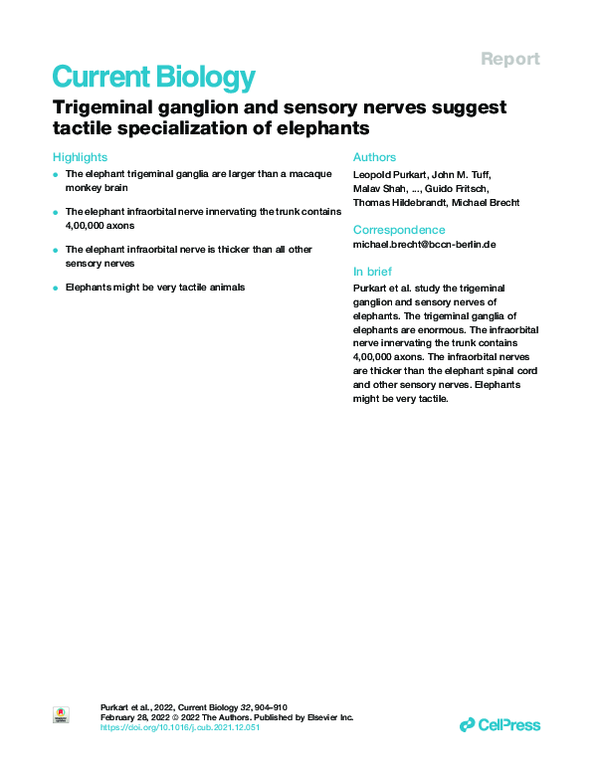 (PDF) Trigeminal ganglion and sensory nerves suggest tactile ...