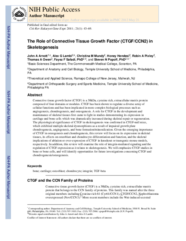 (PDF) The Role of Connective Tissue Growth Factor (CTGF/CCN2) in Skeletogenesis