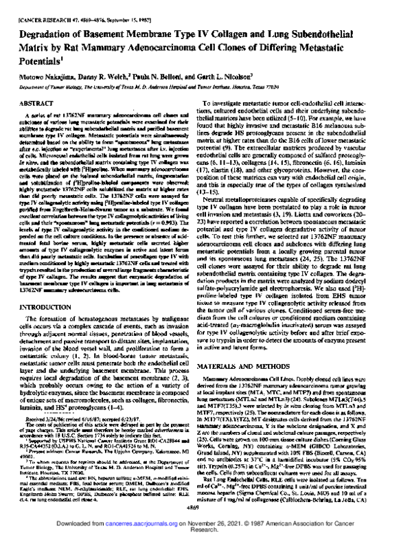 (PDF) Degradation of basement membrane type IV collagen and lung ...
