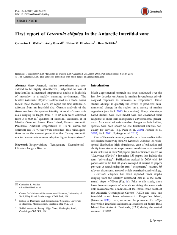 (PDF) First report of Laternula elliptica in the Antarctic intertidal ...