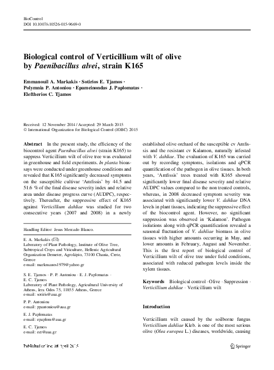 (PDF) Biological control of Verticillium wilt of olive by Paenibacillus ...