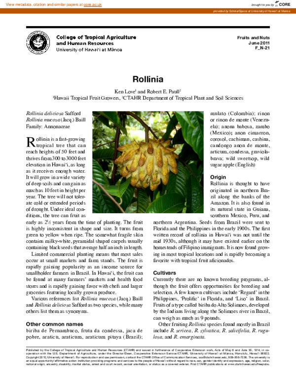 (PDF) Rollinia