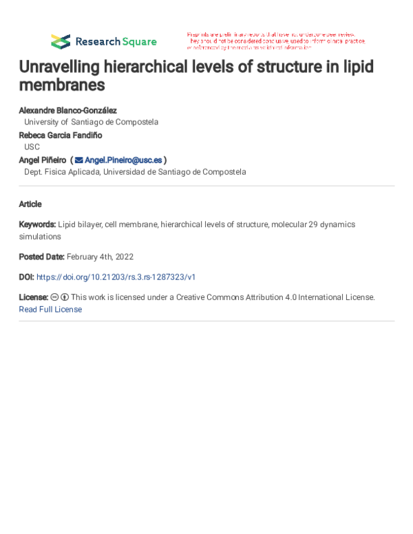 (PDF) Unravelling hierarchical levels of structure in lipid membranes