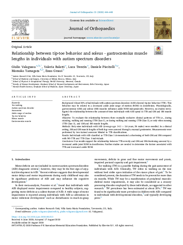 (PDF) Relationship between tip-toe behavior and soleus - gastrocnemius ...