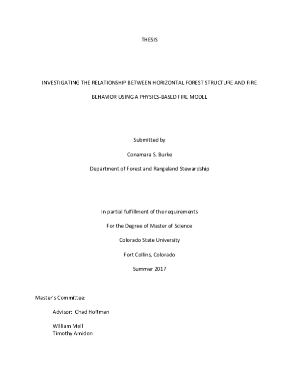 (PDF) THESIS INVESTIGATING THE RELATIONSHIP BETWEEN HORIZONTAL FOREST ...