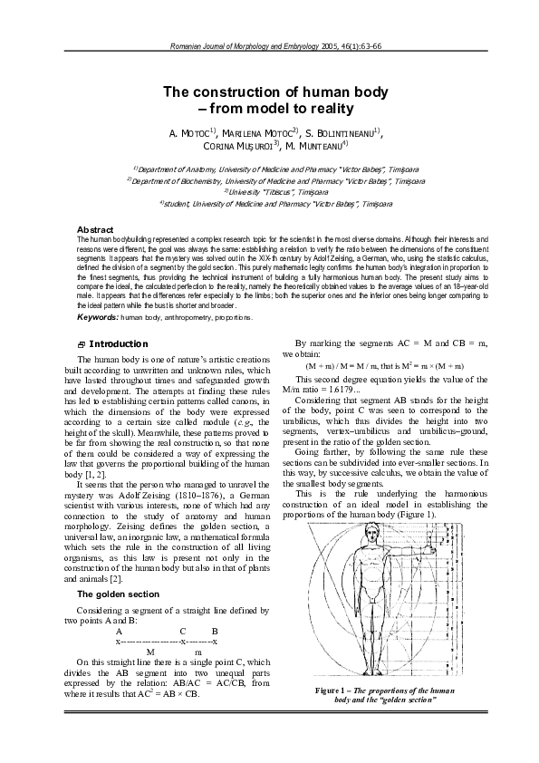 (PDF) The construction of human body--from model to reality