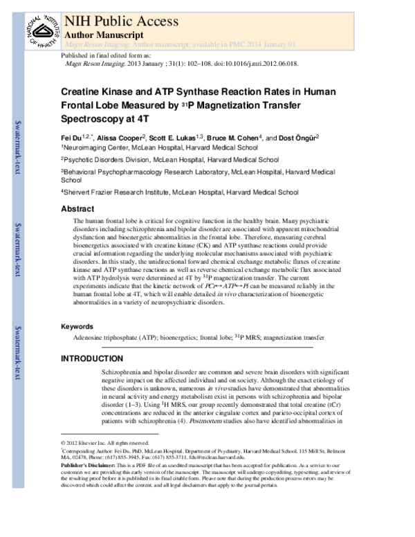 (PDF) Creatine kinase and ATP synthase reaction rates in human frontal ...