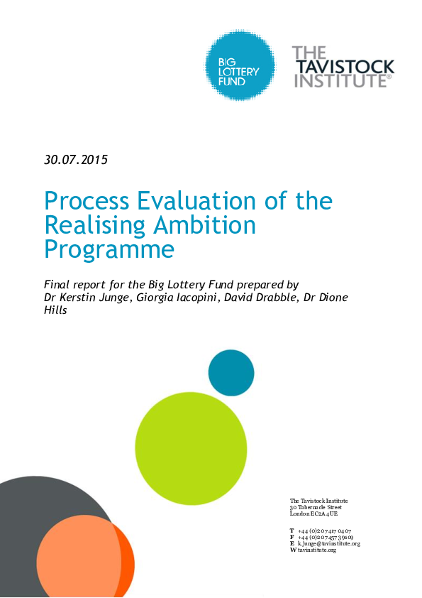 (PDF) Process Evaluation of the Realising Ambition Programme | David ...