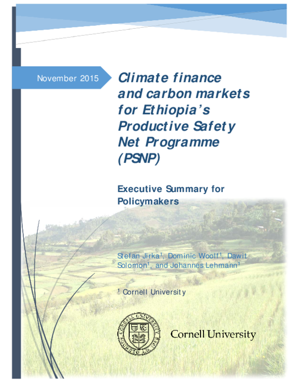 (PDF) Climate finance and carbon markets for Ethiopia’s Productive ...