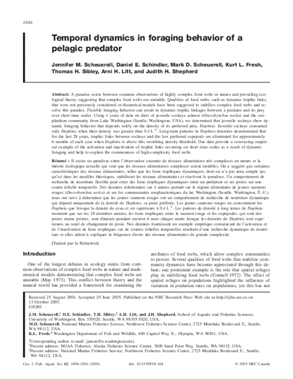 (PDF) Temporal dynamics in foraging behavior of a pelagic predator