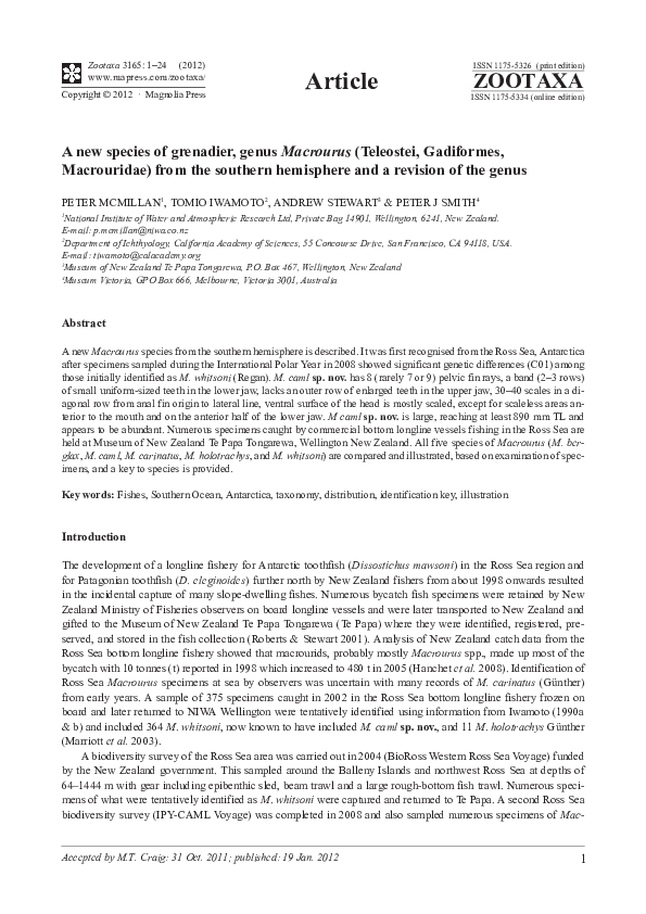 (PDF) A new species of grenadier, genus Macrourus (Teleostei ...