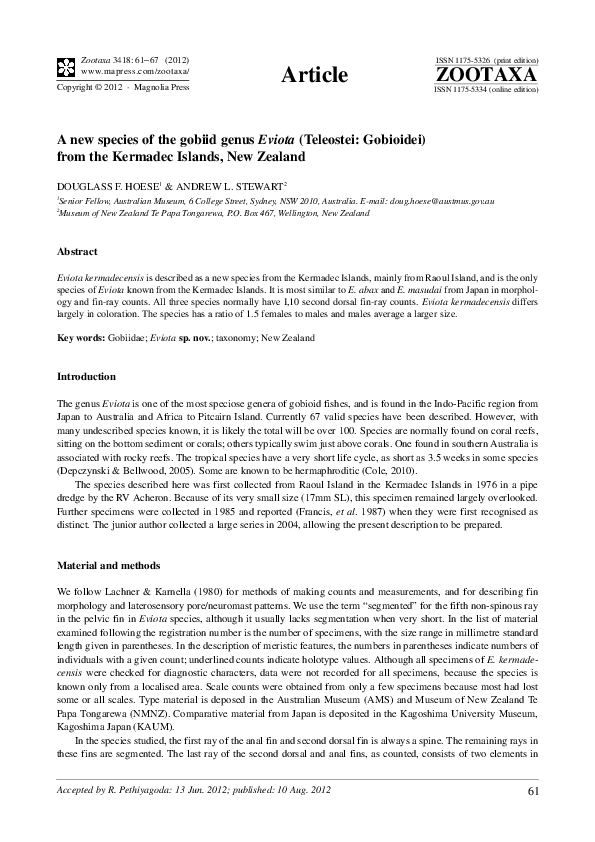 A new species of the gobiid genus Eviota (Teleostei: Gobioidei) from ...