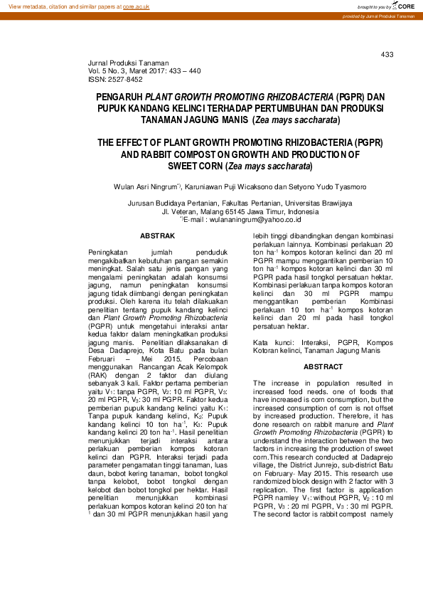 (PDF) PENGARUH PLANT GROWTH PROMOTING RHIZOBACTERIA (PGPR) DAN PUPUK ...