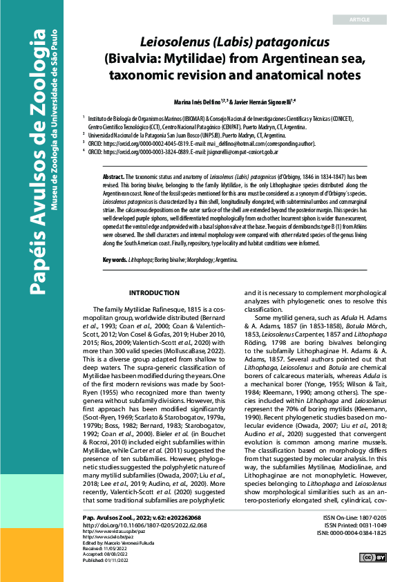 (PDF) Leiosolenus (Labis) patagonicus (Bivalvia: Mytilidae) from ...