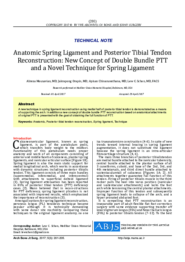 (PDF) Anatomic Spring Ligament and Posterior Tibial Tendon ...