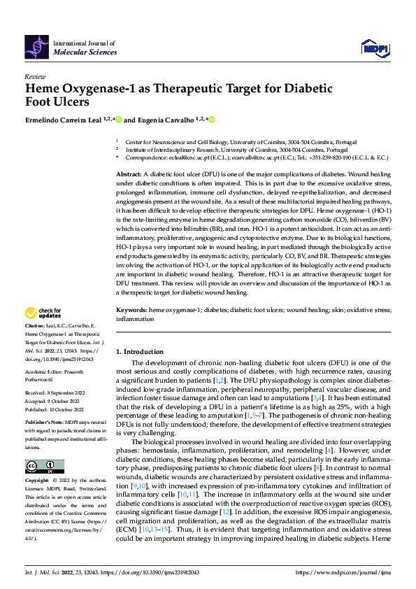 (PDF) Heme Oxygenase-1 as Therapeutic Target for Diabetic Foot Ulcers