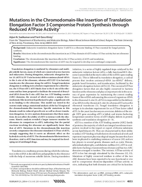 Mutations in the Chromodomain-like Insertion of Translation Elongation ...