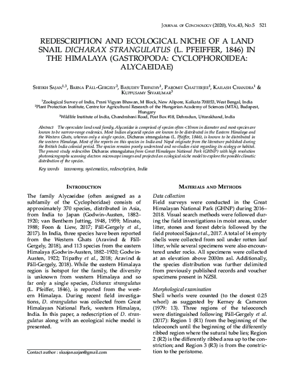 (PDF) Redescription and ecological niche of a land snail Dicharax ...