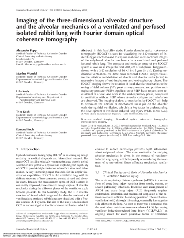 (PDF) Imaging of the three-dimensional alveolar structure and the ...