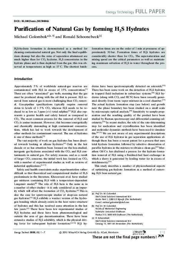 (PDF) Purification of Natural Gas by forming H2S Hydrates