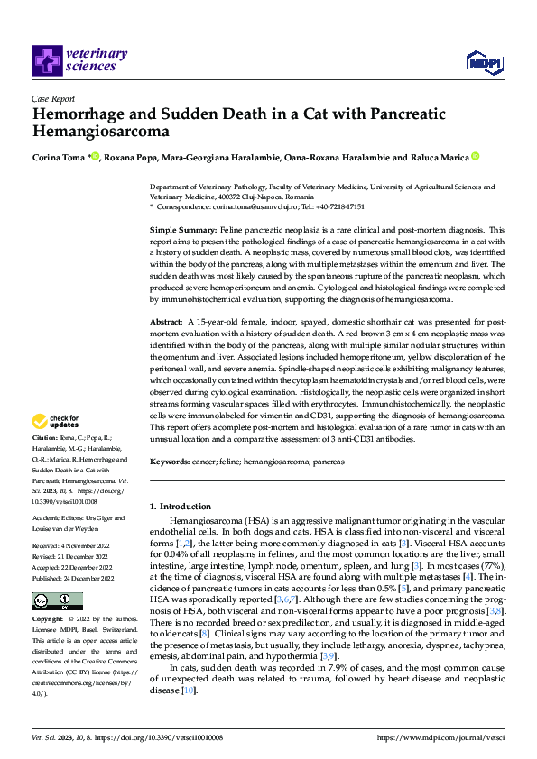 (PDF) Hemorrhage and Sudden Death in a Cat with Pancreatic Hemangiosarcoma
