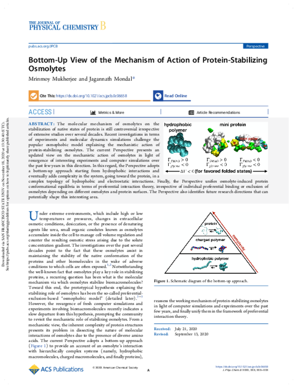 (PDF) Bottom-Up View of the Mechanism of Action of Protein-Stabilizing ...