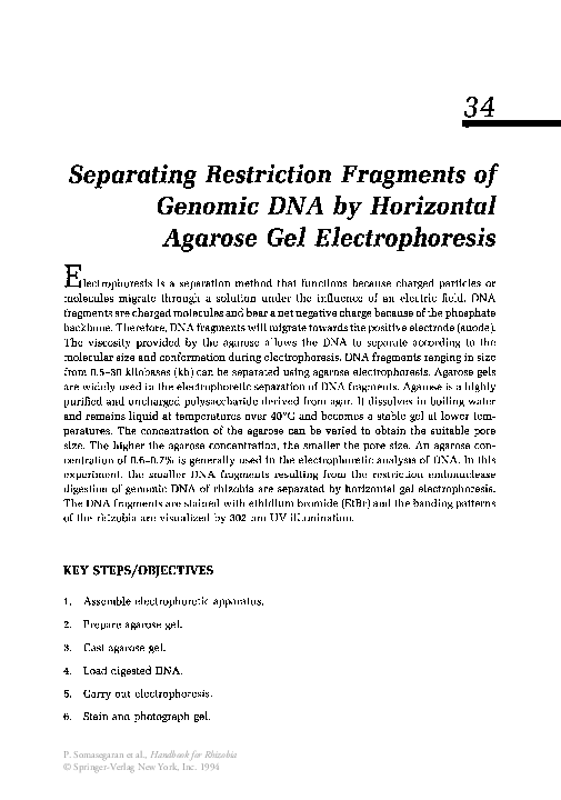 (PDF) Separating Restriction Fragments of Genomic DNA by Horizontal ...