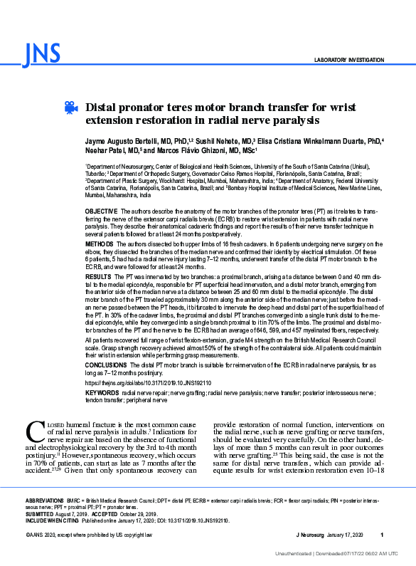 (PDF) Distal pronator teres motor branch transfer for wrist extension ...