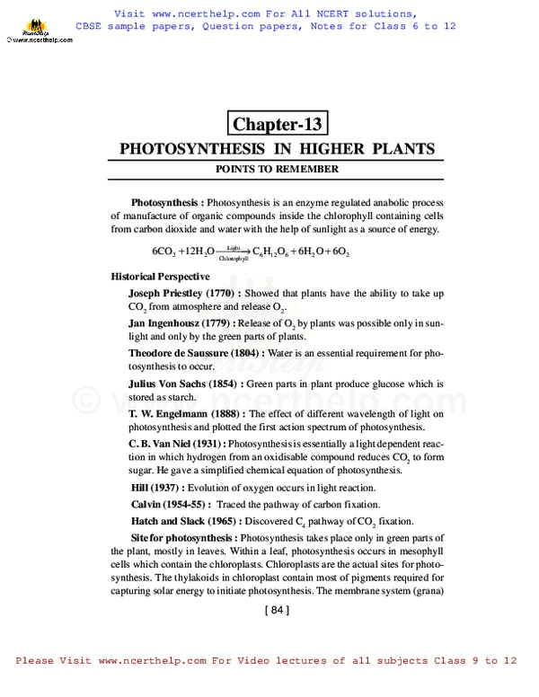 (PDF) Photosynthesis in Higher Plants