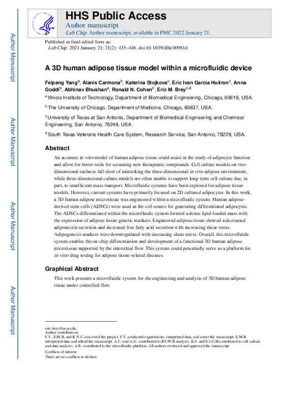 (PDF) A 3D human adipose tissue model within a microfluidic device