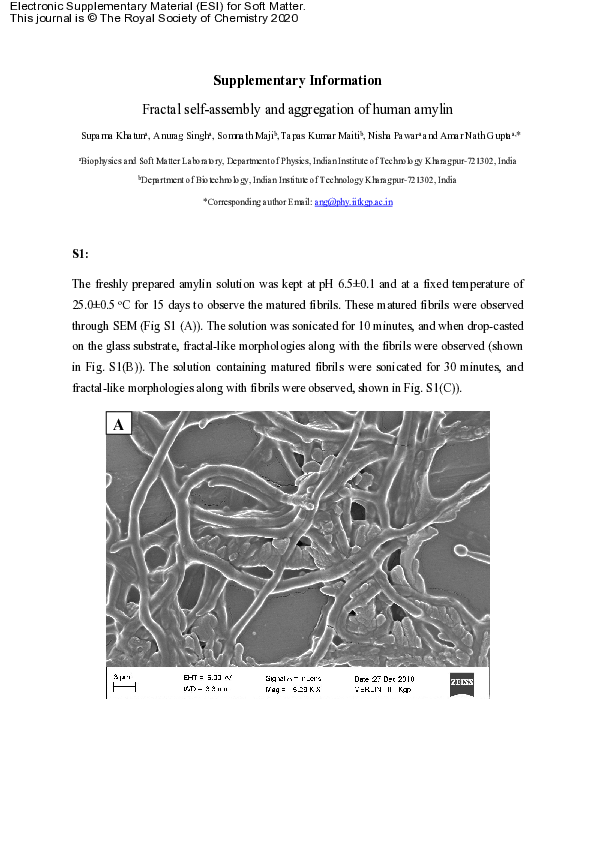 (PDF) Fractal self-assembly and aggregation of human amylin